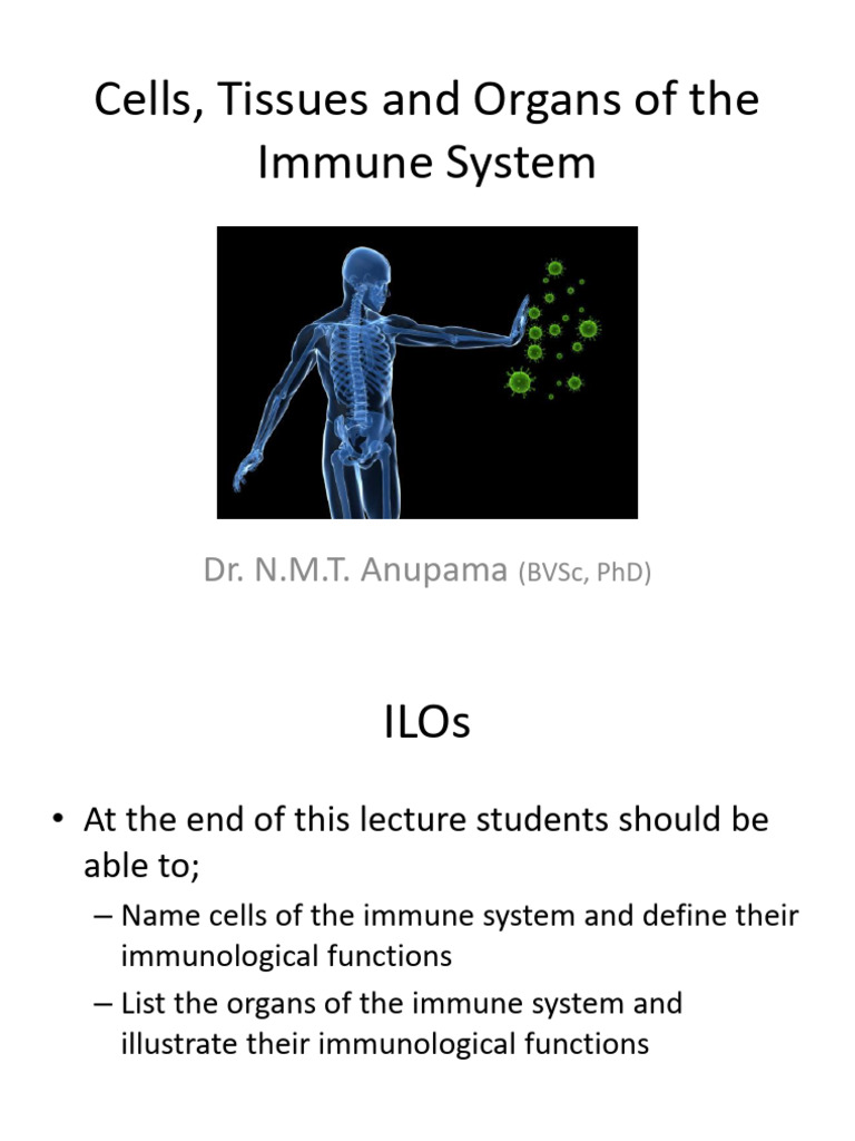 Immune Cells, Innate Immunity and Adaptive Immunity | PDF | Immune ...