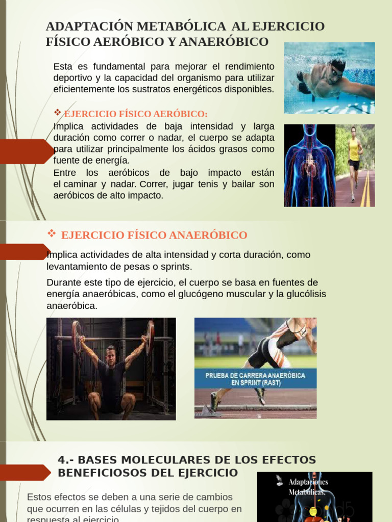 3 y 4 Adaptación Metabólica Al Ejercicio Físico Aeróbico y Anaeróbico | PDF | Ejercicio aerobico ...