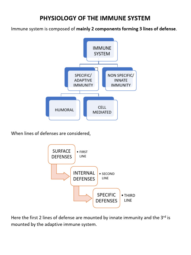 Immune System Physiology Overview | PDF | Immune System | Antigen