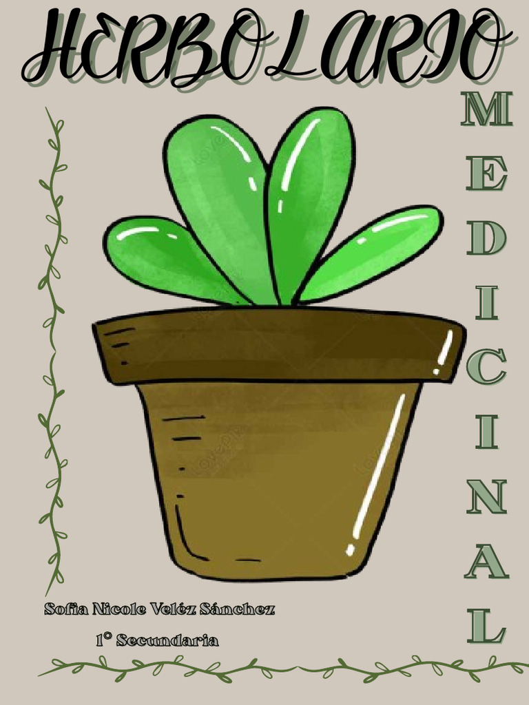 Herbolario 20250302 110856 0000 | PDF | Cúrcuma | Jengibre