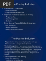 Poultry Production Management Guide | PDF | Chicken | Poultry Farming