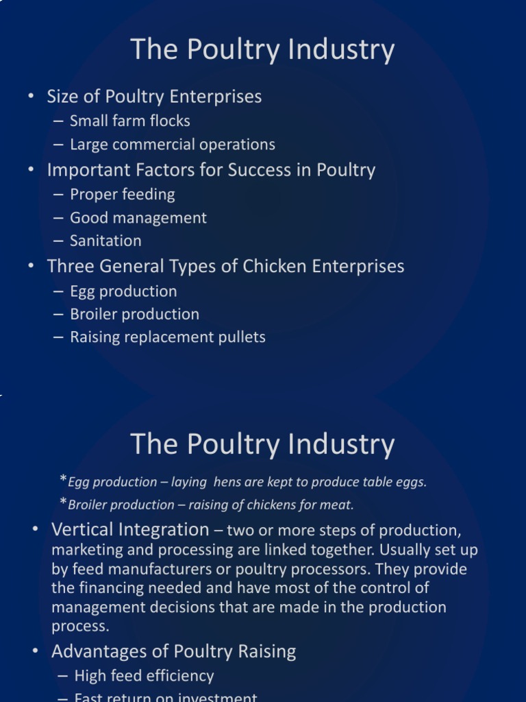 Poultry Management | PDF | Chicken | Poultry Farming