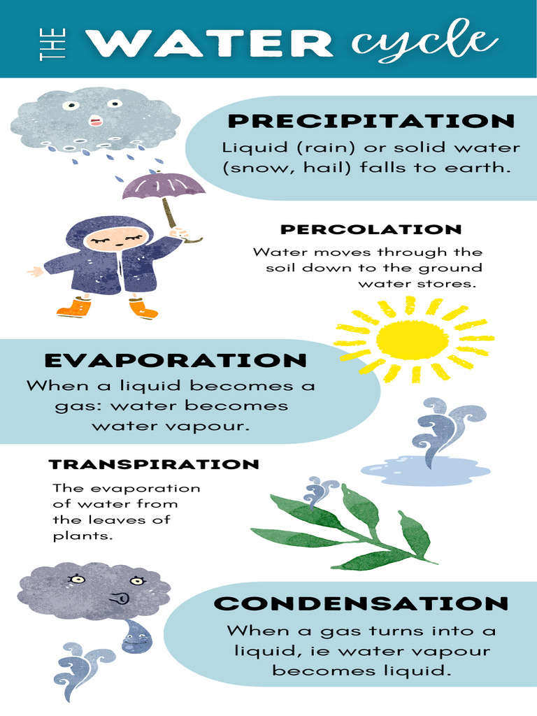 The Water Cycle Poster Science Infographic in Blue Minimalist Style | PDF