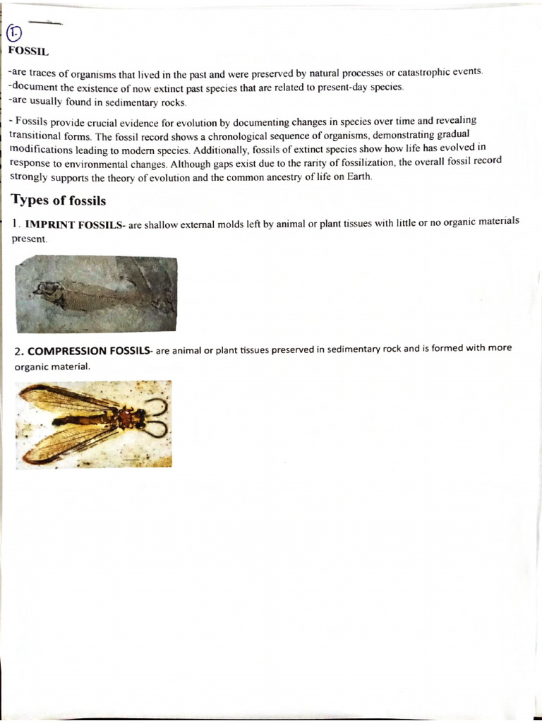 General Biology Notes (Fossils, Comparative Anatomy, Embryology, etc ...
