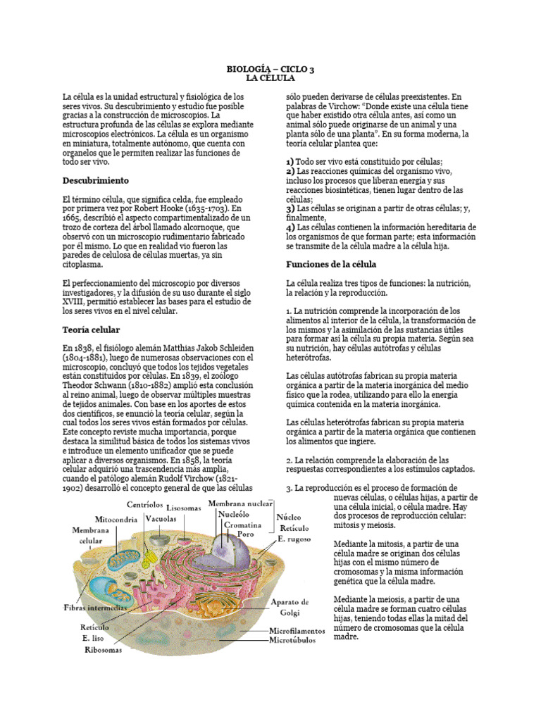 Estructura y Funciones de la Célula | PDF | Biología Celular) | Organismos