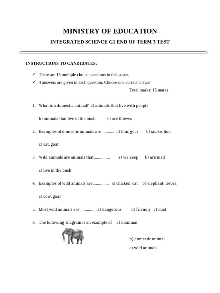 Grade 1 Integrated Science Test Term 3 | PDF