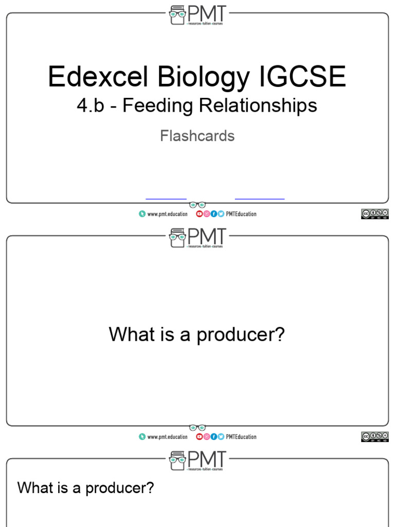 Flashcards - 4b Feeding Relationships - Edexcel Biology IGCSE | PDF ...