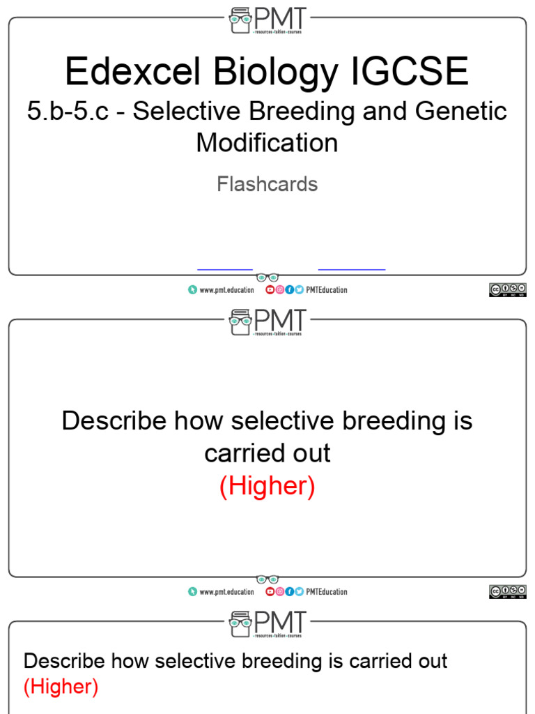 Selective Breeding in IGCSE Biology | PDF | Genetic Engineering | Plant ...