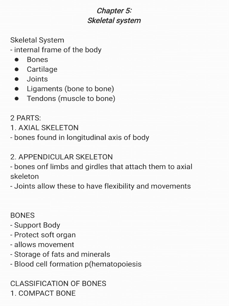 BSC Skeletal System Overview | PDF