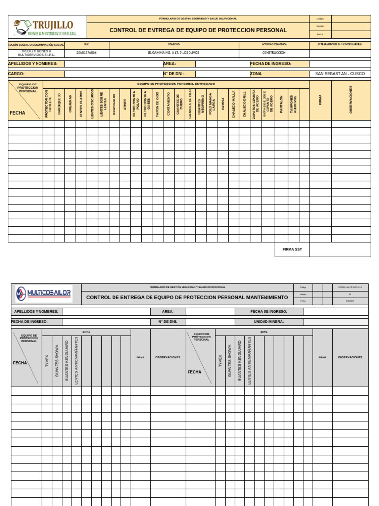FORMATO DE EPP | PDF | Las condiciones de trabajo | Seguridad y salud ocupacional