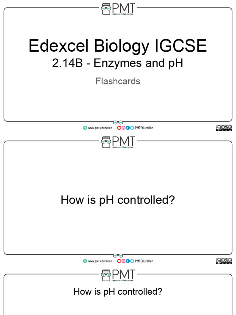 Enzymes and pH: IGCSE Biology Flashcards | PDF | Ph