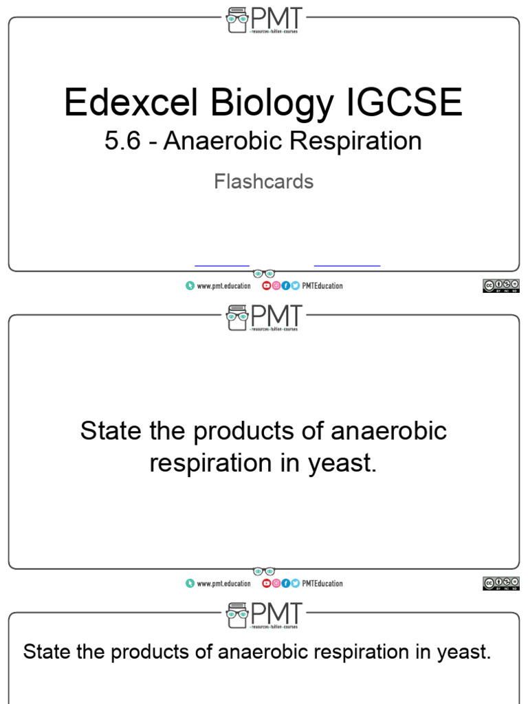 Flashcards - Anaerobic Respiration - Edexcel Biology IGCSE | PDF | Cellular Respiration | Yeast