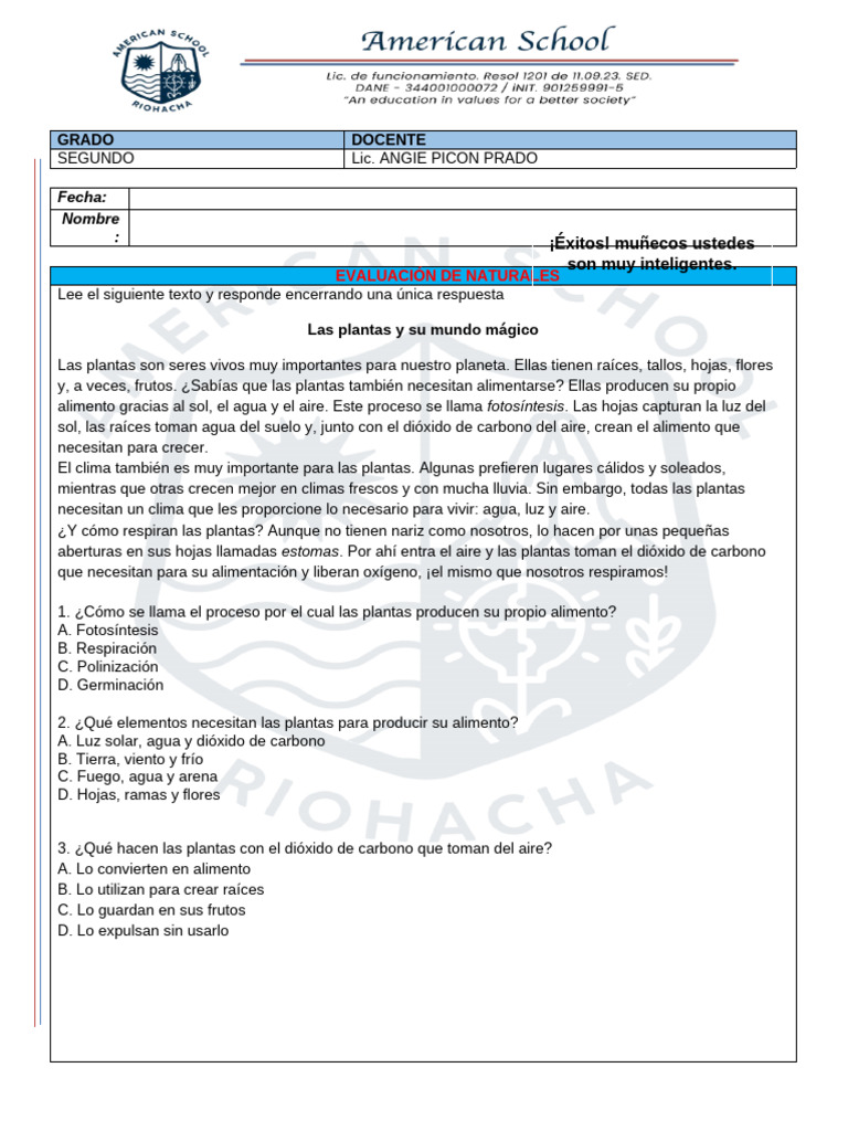EVALUACION 1 Periodo Naturales 1 PERIODO 2 | PDF | Plantas | Hoja