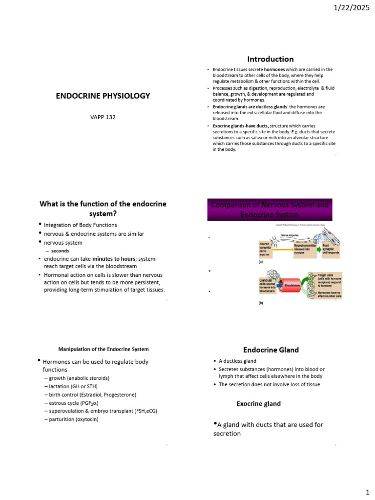 Endocrine Physiology 2025 | PDF | Adrenal Gland | Pituitary Gland