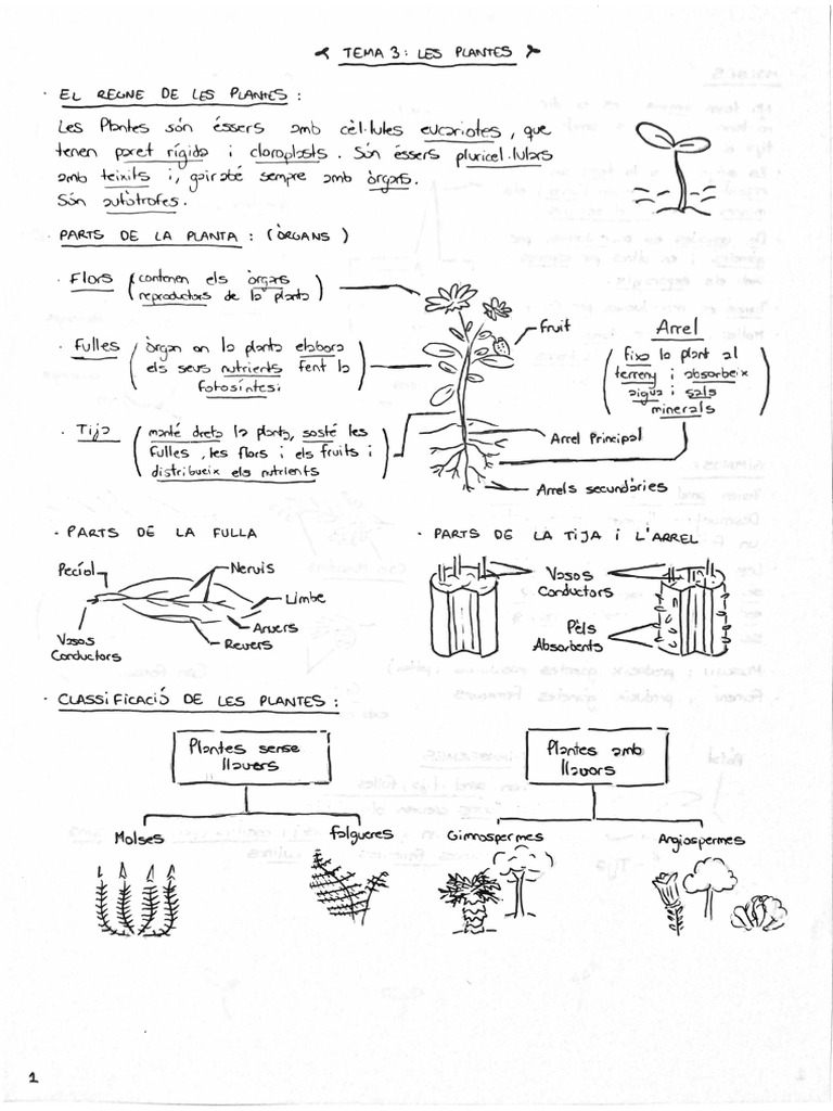 Apunts T3 Biologia | PDF