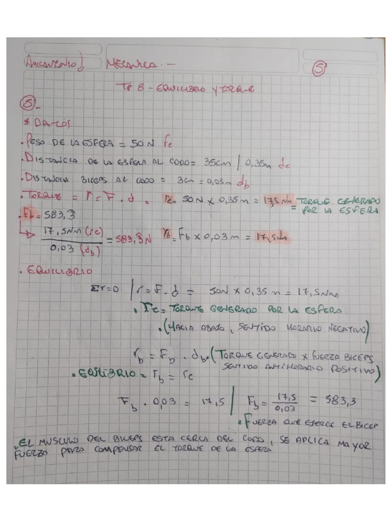 Ejercicio 5 - TP8 Equilibrio y Torque - Amicantonio | PDF