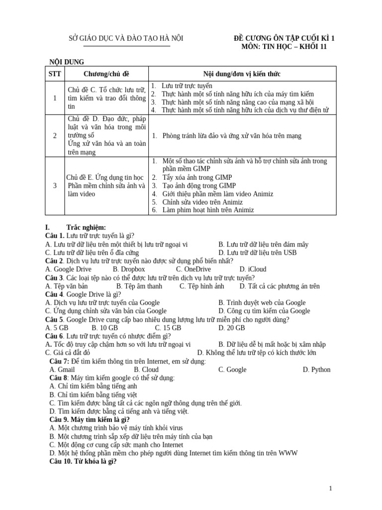 HS - ĐỀ CƯƠNG TIN 11 HK1 | PDF