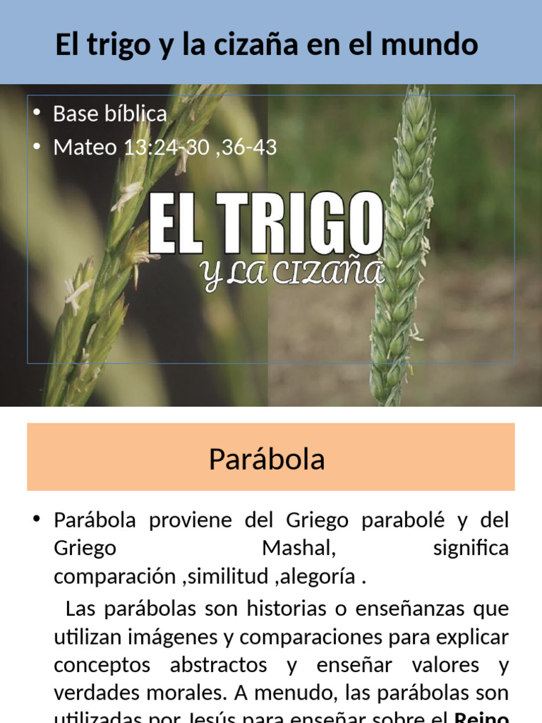la cizaña y el trigo | PDF