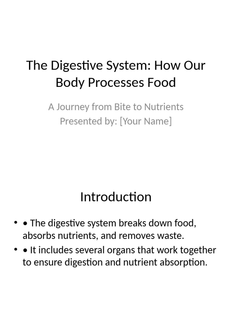 Digestive_System_Presentation | PDF