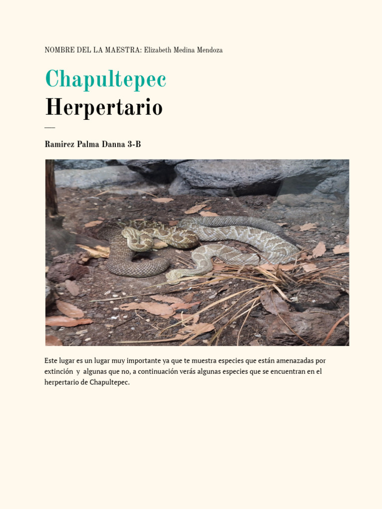 Chapultepec | PDF