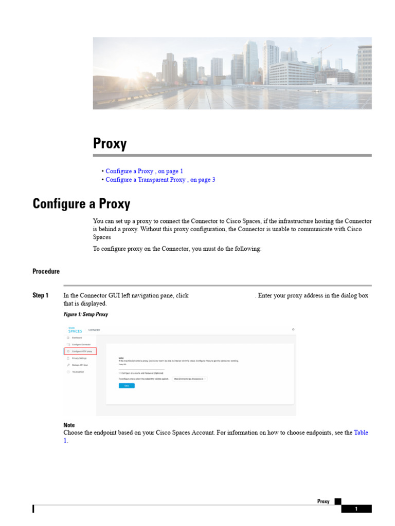 setup of proxy server | PDF | Proxy Server | Command Line Interface
