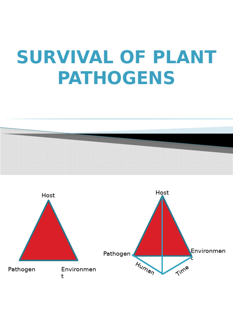 Survival Strategies of Plant Pathogens | PDF | Pathogen | Mycology