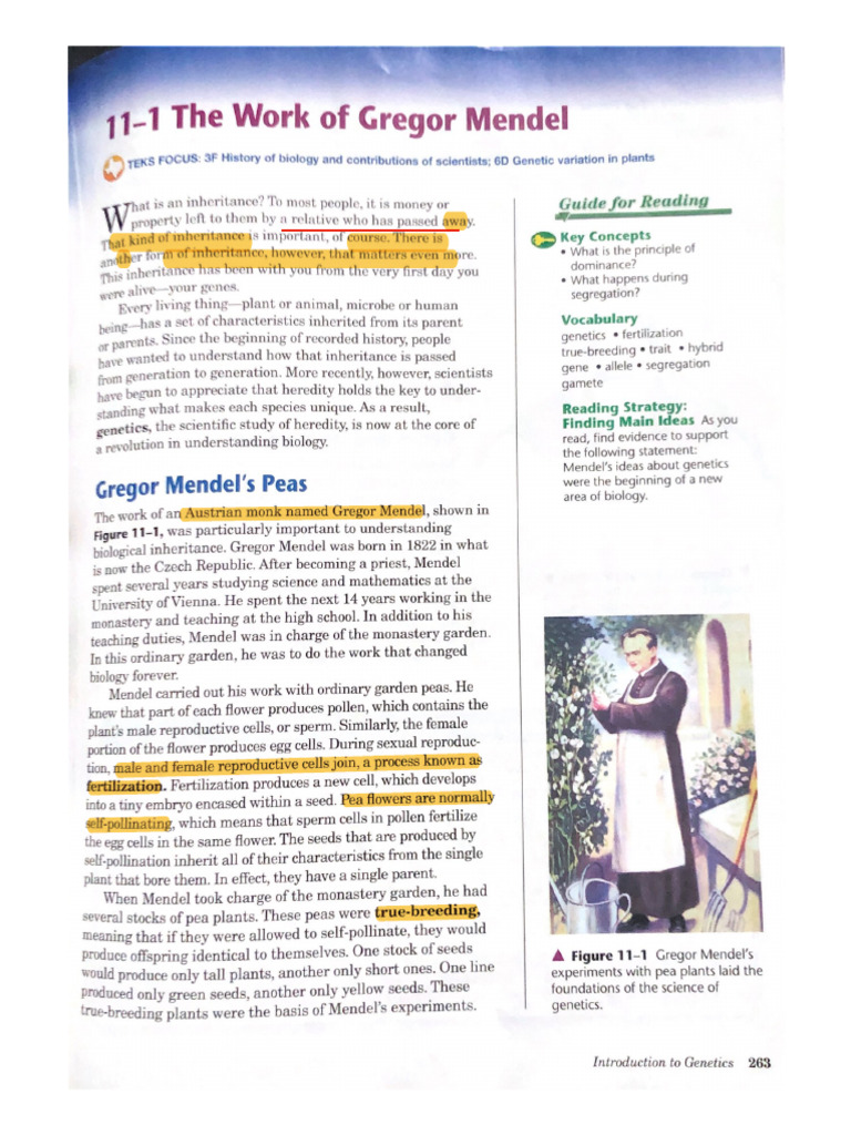 11-1 The Work of Gregor Mendel | PDF