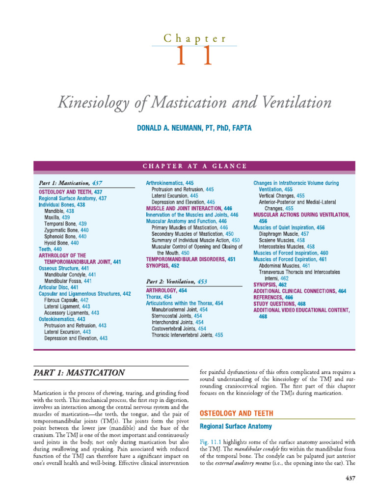 Kinesiology of TMJ | PDF