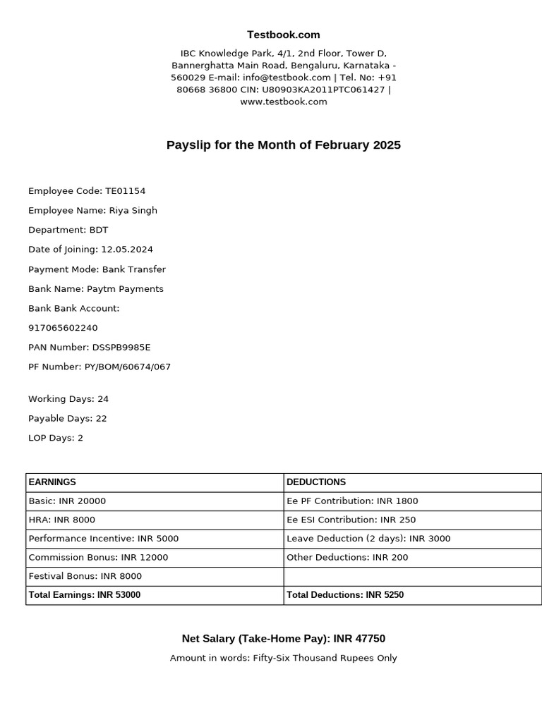 Salary Slip February 2025 Riya Singh | PDF