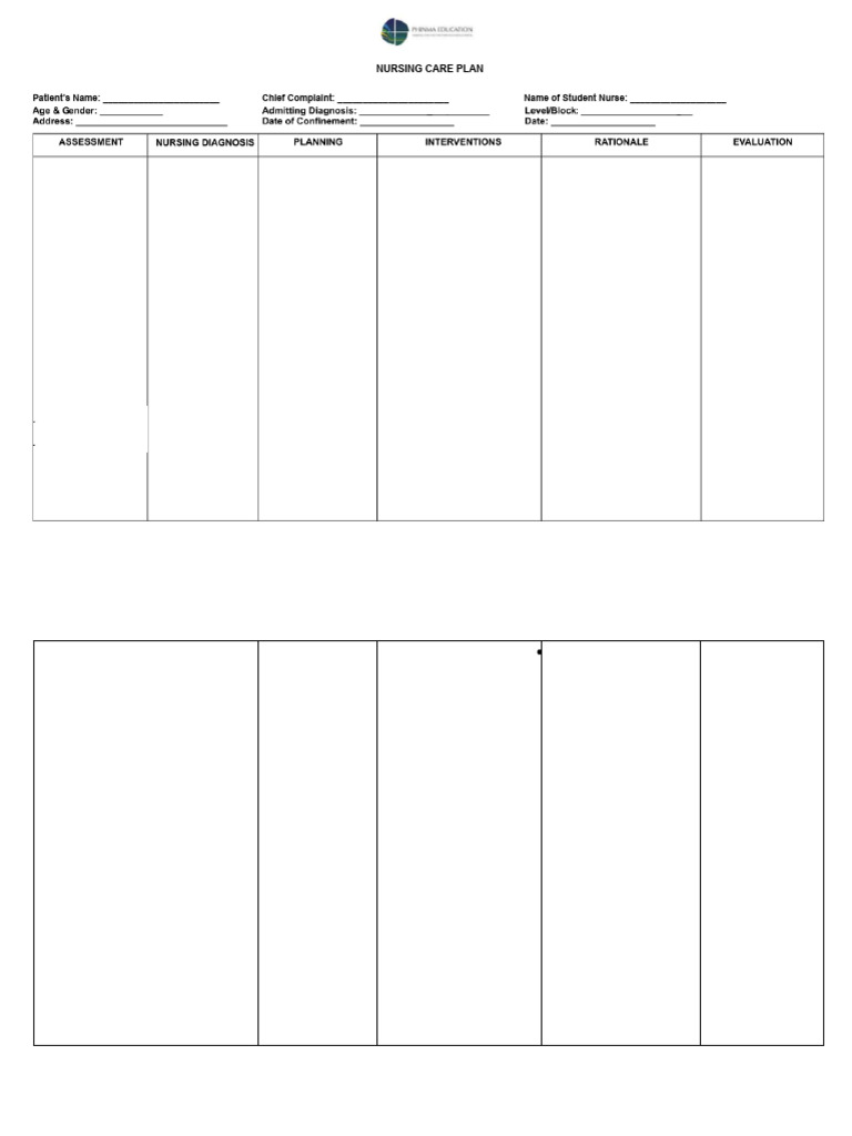 NCP-TEMPLATE-2 | PDF