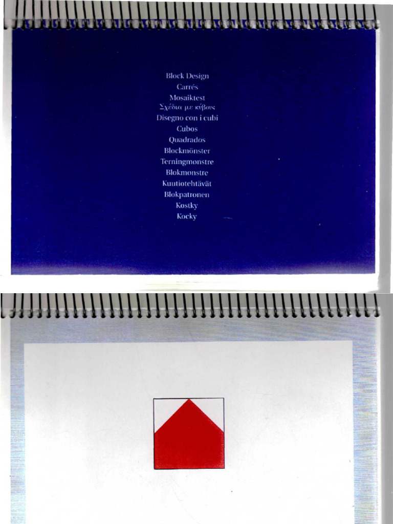 Laminas WAIS III Cubos | PDF