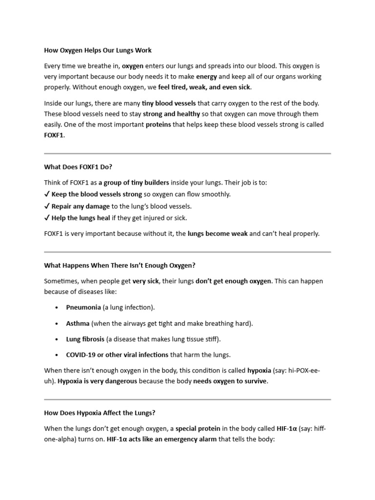 How Oxygen Helps Our Lungs Work | PDF | Lung | Blood