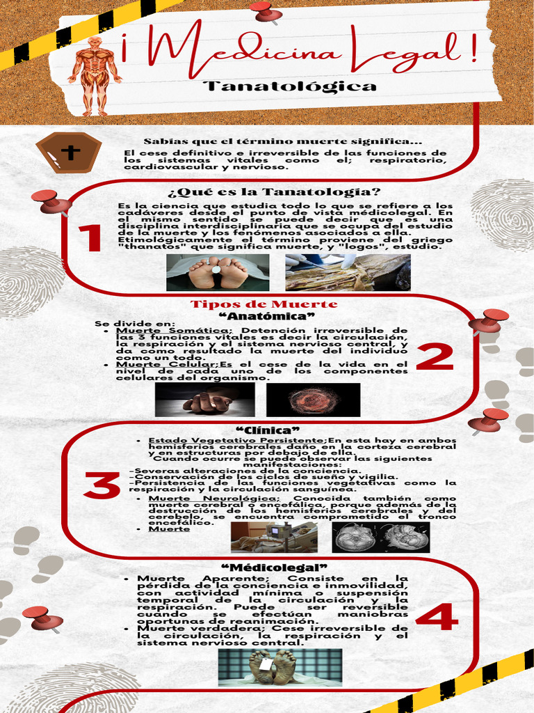 Tanatología: Estudio de la Muerte y Fenómenos Cadavéricos | PDF ...