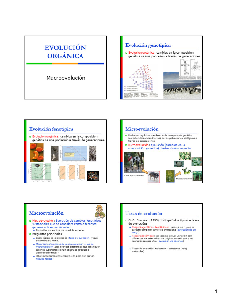Clase21 Macroevolucion | PDF | Evolución | Especies