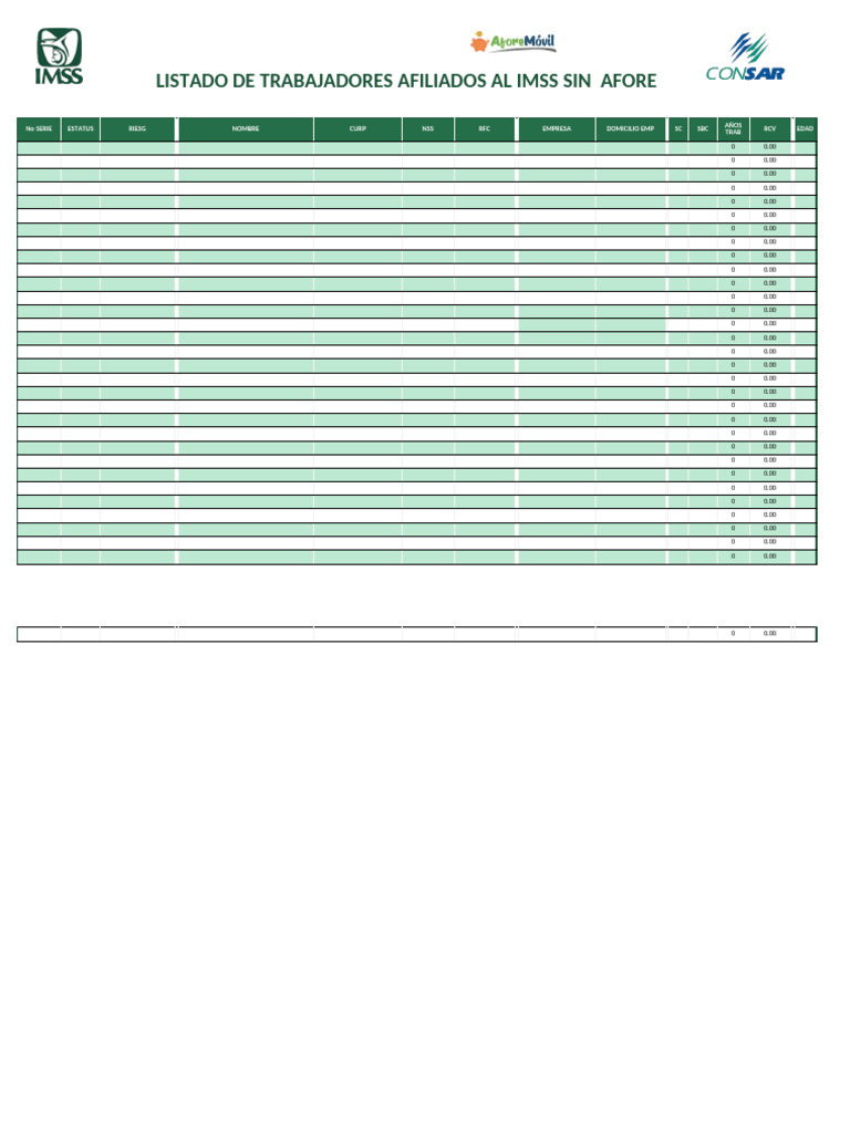 Hoja Imss Datos | PDF