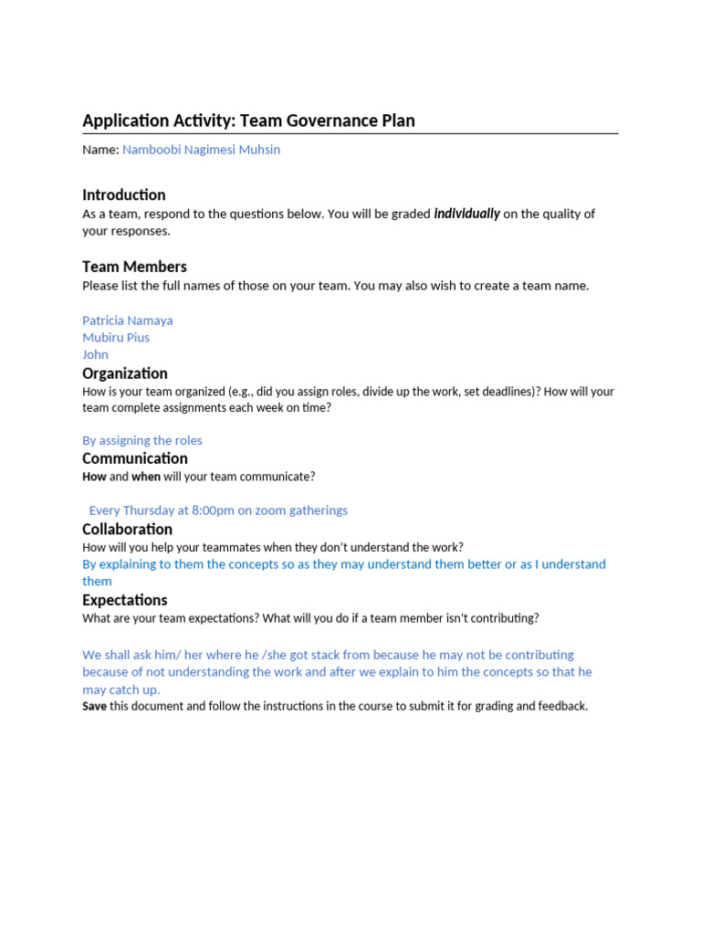 Pc102 w04 Document Applicationactivity Teamgovernanceplantemplate Muhsin | PDF