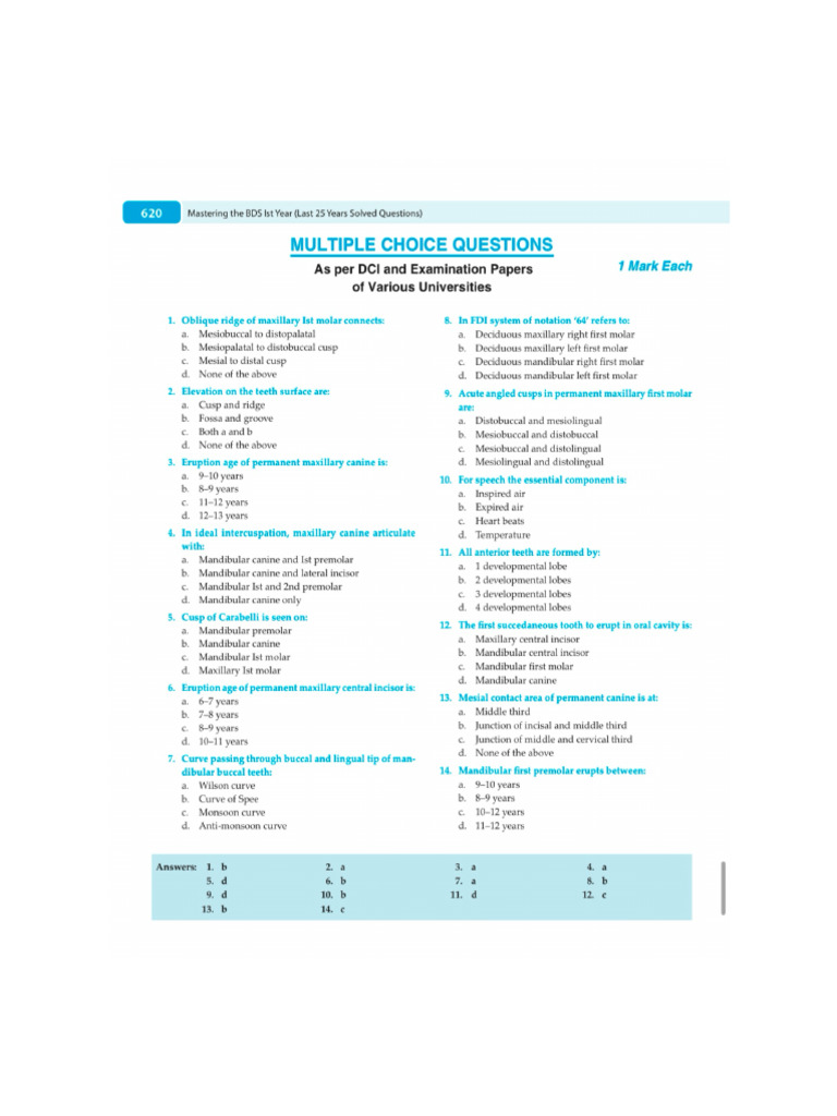 Dental Anatomy | PDF