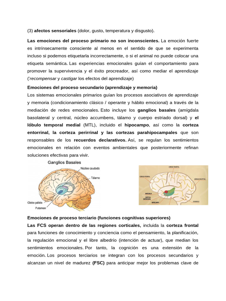 3 Emociones Del Proceso Secundario | PDF