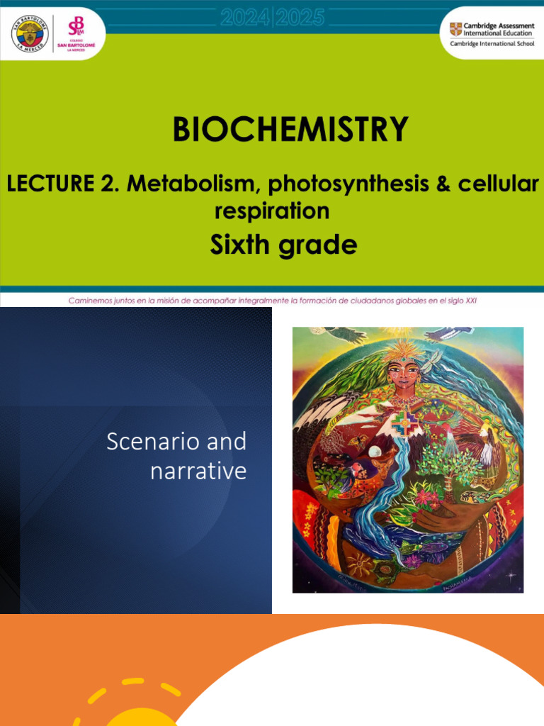 Biochemistry Lecture 2-Metabolism Introduction - Sixth Grade | PDF