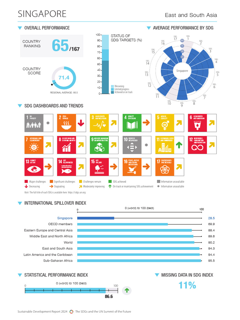 SDR-2024-singapore | PDF | Air Pollution | Natural Environment