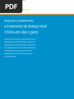 IRIS - Pocket - Guide - To - CKD - 2023 TRADUZIDO | PDF | Creatinina ...