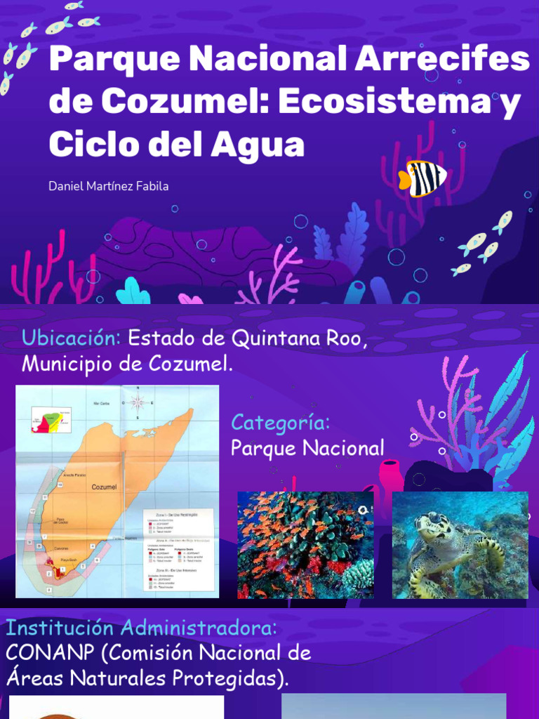 Tarea 5 - Daniel Martinez Fabila | PDF | Arrecife de coral | Agua