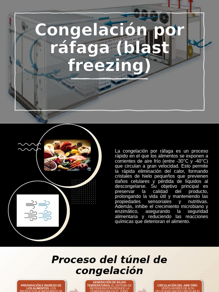 Congelación por ráfaga: proceso y ventajas | PDF