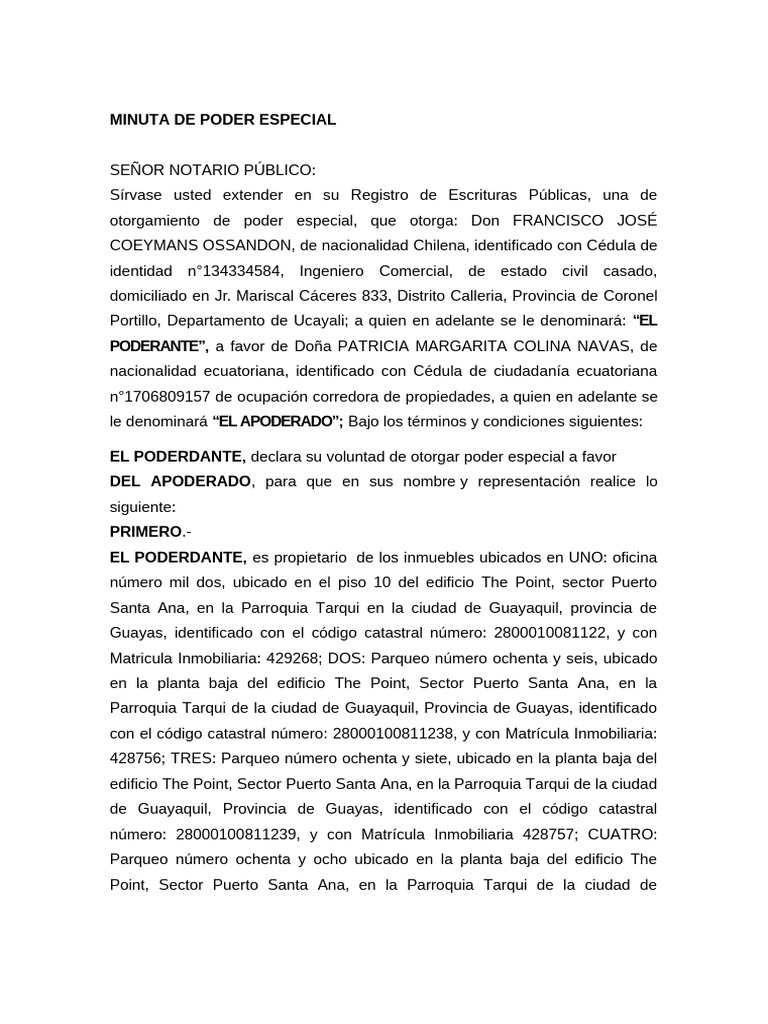 Minuta de Poder Especial | PDF