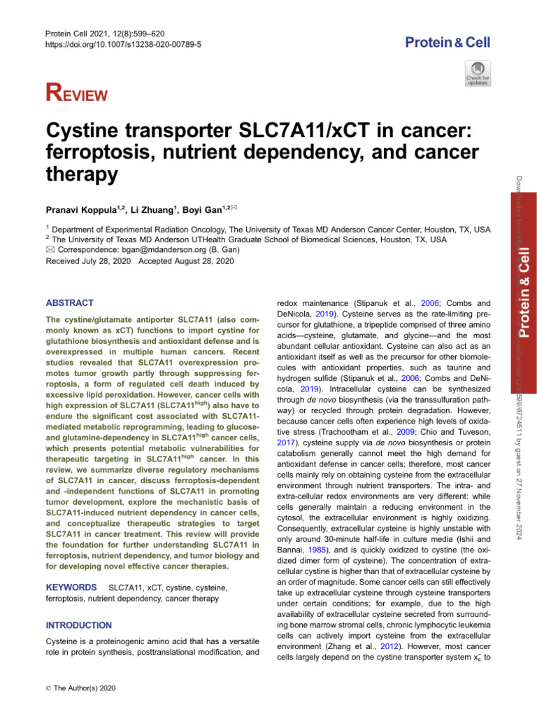 SLC7A11's Role in Cancer and Ferroptosis | PDF | Glutathione ...