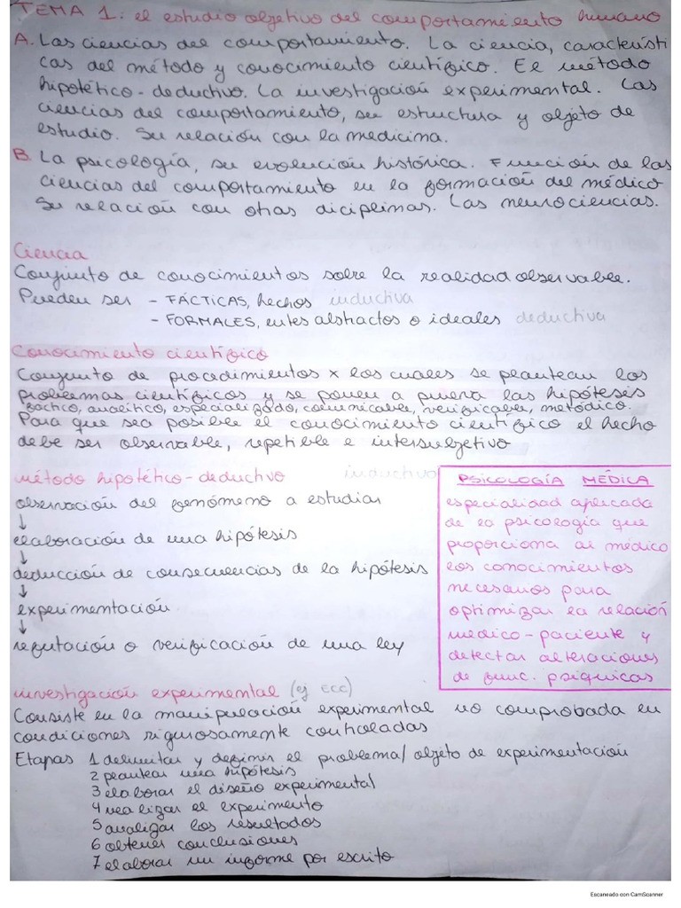 Psico Mega Resumido | PDF