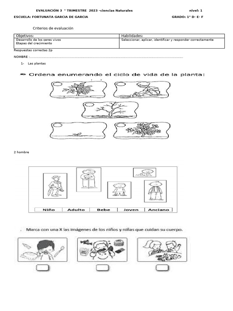 Criterios de Evaluación 3 T | PDF