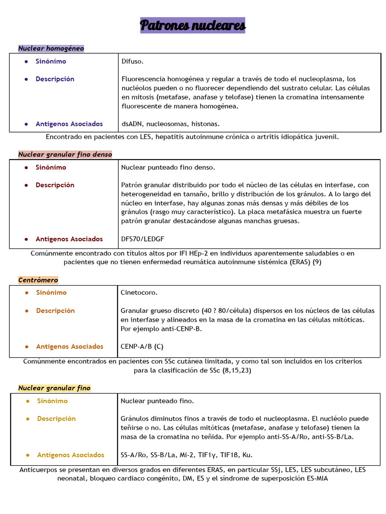 Patrones de Ana en Enfermedades Autoinmunes | PDF | Mitosis | Nucleo ...
