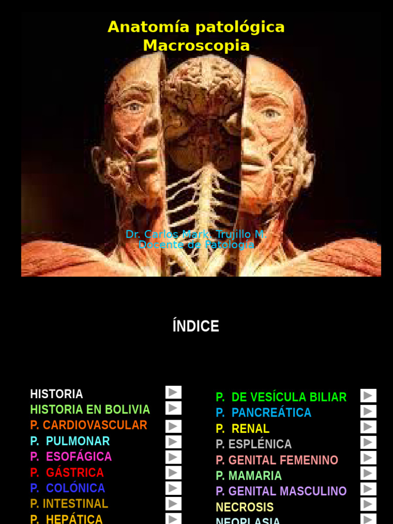 Macroscopia 2018 | PDF | Patología | Tracto gastrointestinal