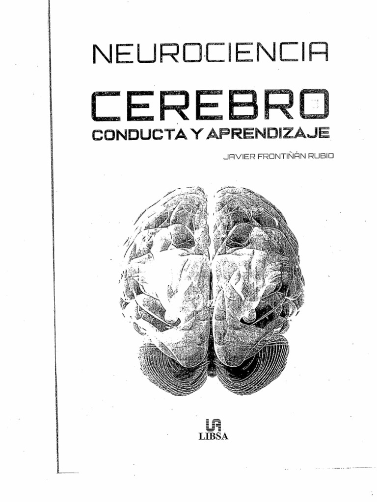 Apunte 1 Neurociencia | PDF